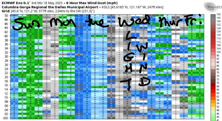 Forecast - The Gorge Is My Gym